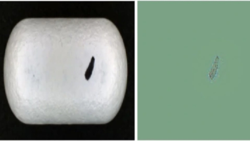 HALCON Steady 22.11 | MVTec | 影像處理開發軟體 | 產品資訊 | 新亞洲儀器股份有限公司